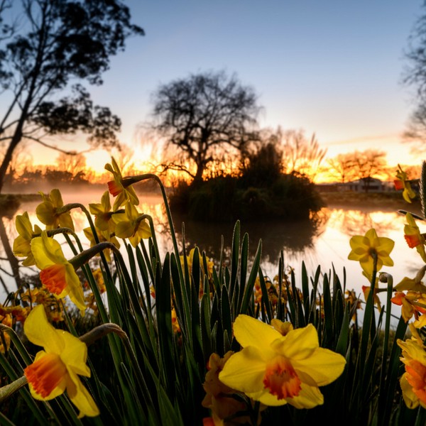 The Spring Fling | Central Hawke's Bay